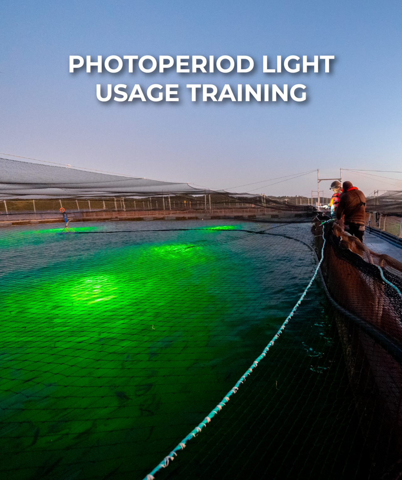 Bioled – Lighting solutions salmon Aquaculture