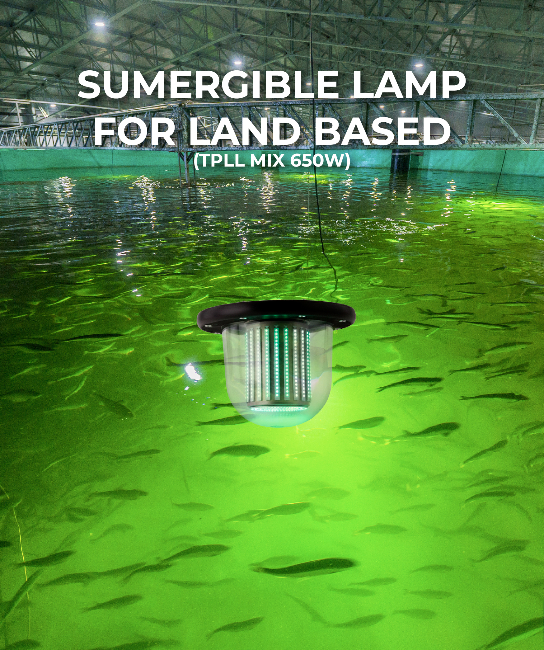 Bioled – Lighting solutions salmon Aquaculture
