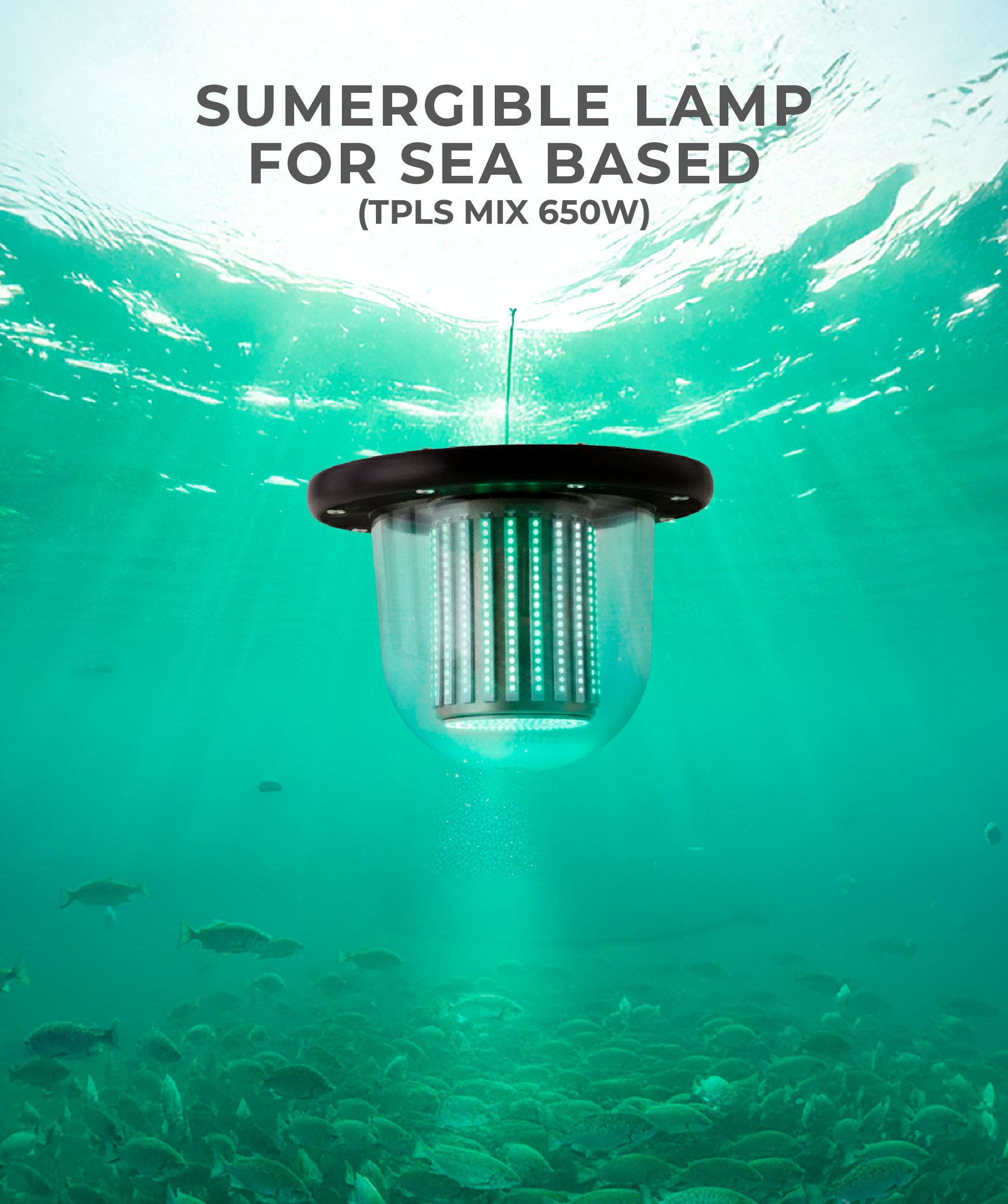 Bioled – Lighting solutions salmon Aquaculture